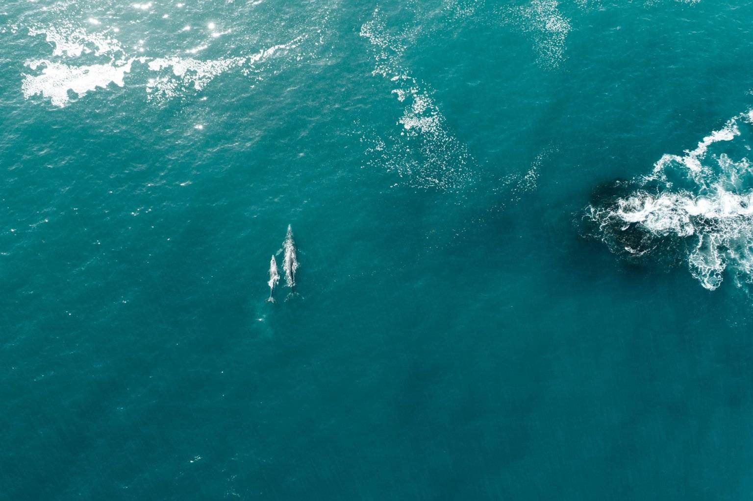 Laguna Beach Nightlife, Clubs, Live Music | Visit Laguna Beach