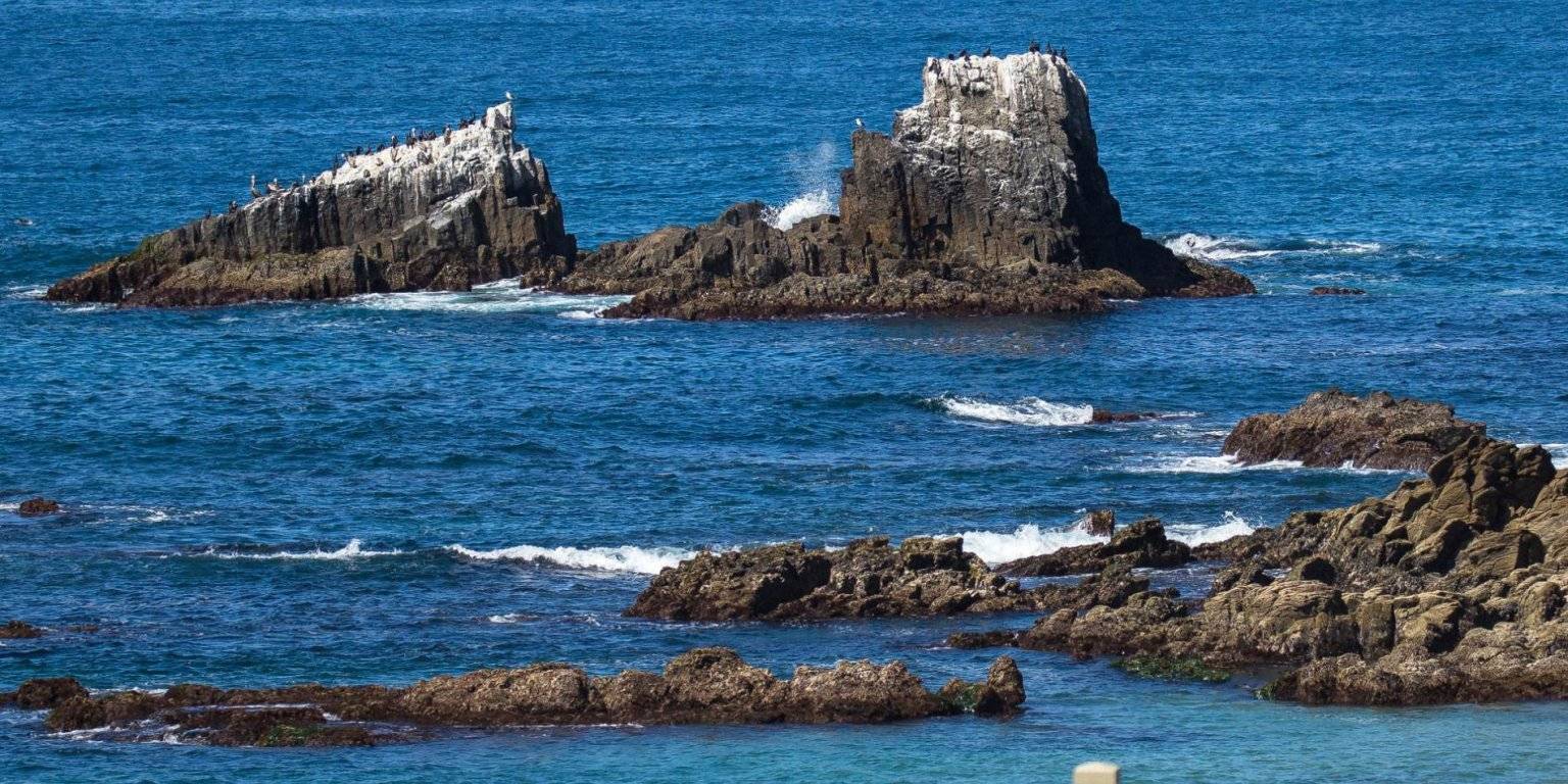 Laguna Beach Facts and Awards | Visit Laguna Beach