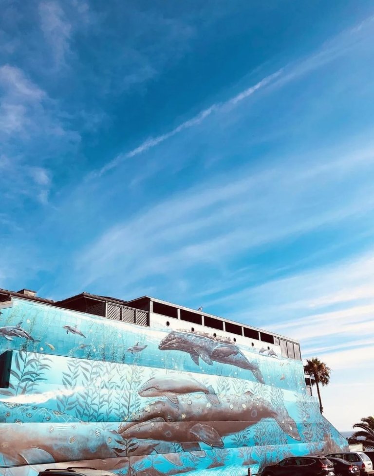 24 Things to Do in Laguna Beach in 2024 | Visit Laguna Beach